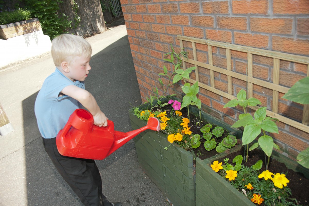 Our Values – Spon Gate Primary School